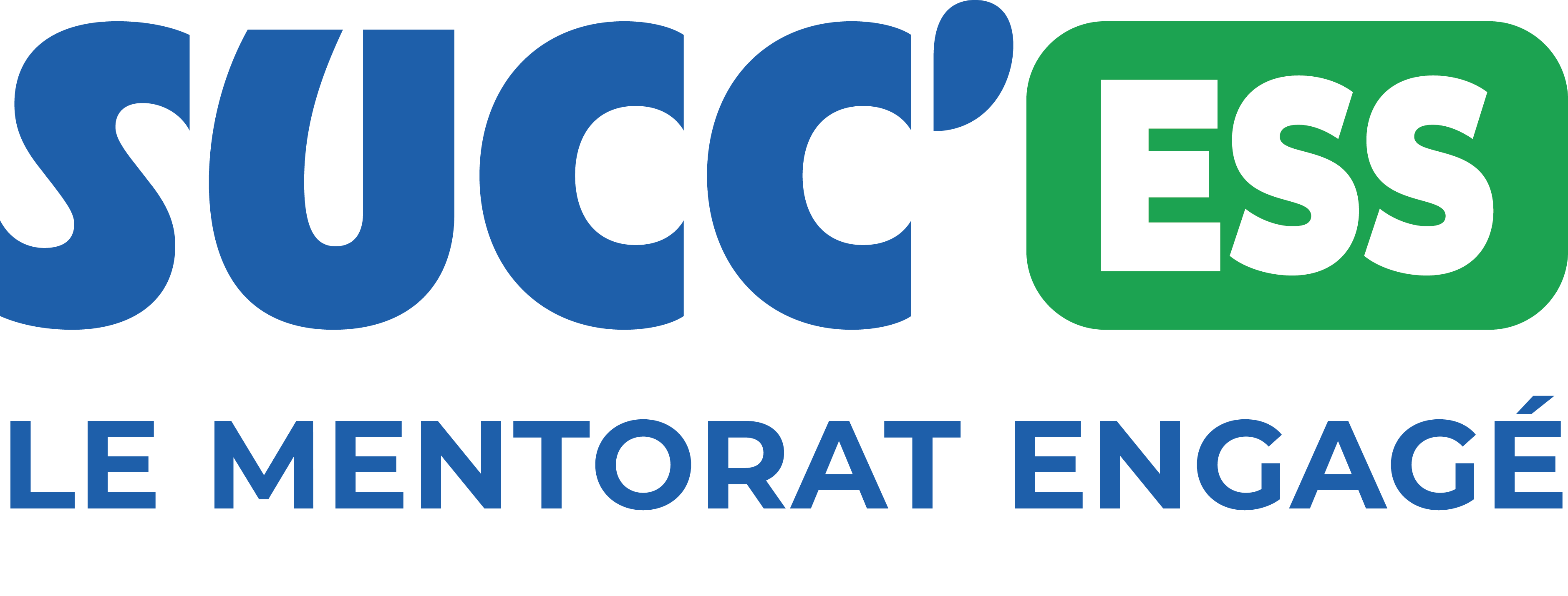 Le programme Succ’ESS, ou comment accompagner la relève générationnelle en ESS grâce au mentorat ...